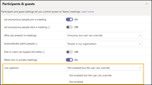 Echtzeitübersetzung in Teams Besprechungen und Anrufen | Topedia Blog
